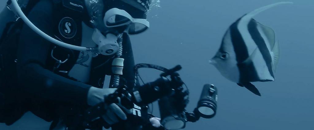 Audemars Piguet Royal Oak Offshore Diver Review